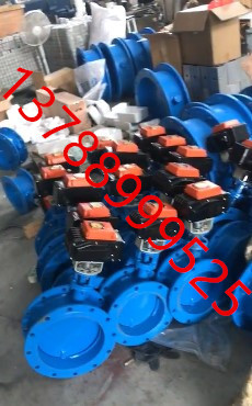 电动法兰蝶阀-江苏轩普阀业有限公司